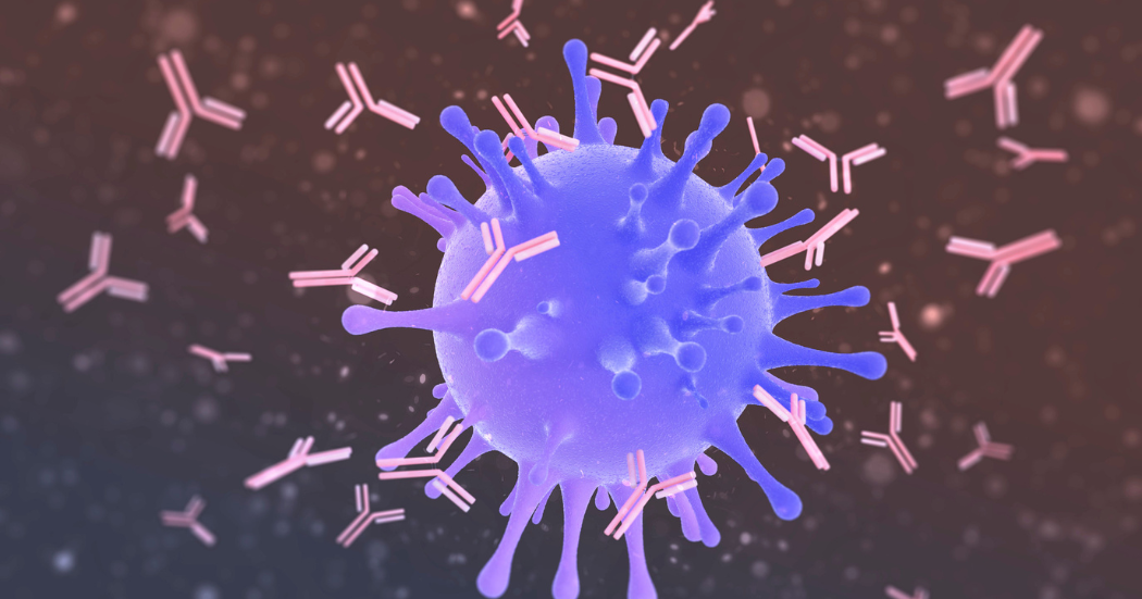 How To Improve Your Immune System? – About Health